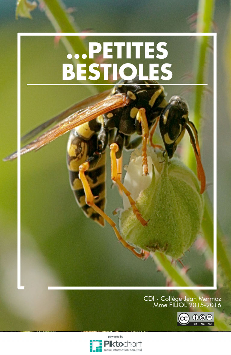 Expo Petites bestioles – cinephiledoc